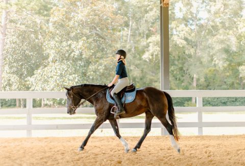 The Stables on Buck Lake | Horse Boarding, Training and Lessons